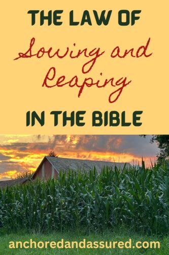 What is the Sowing and Reaping Principle in the Bible? - Anchored and ...