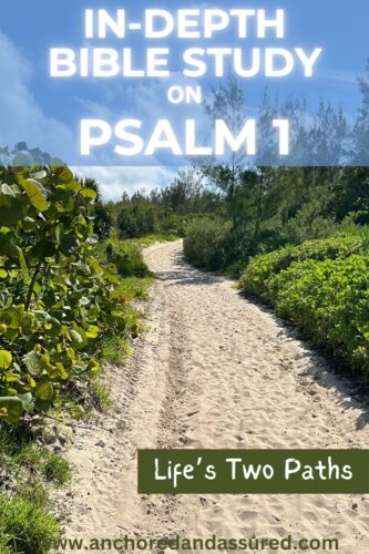 Psalm 1: An In-Depth Bible Study on Life's Two Paths - Anchored and Assured